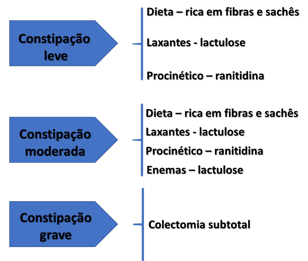 Manejo clínico da constipação crônica em felinos