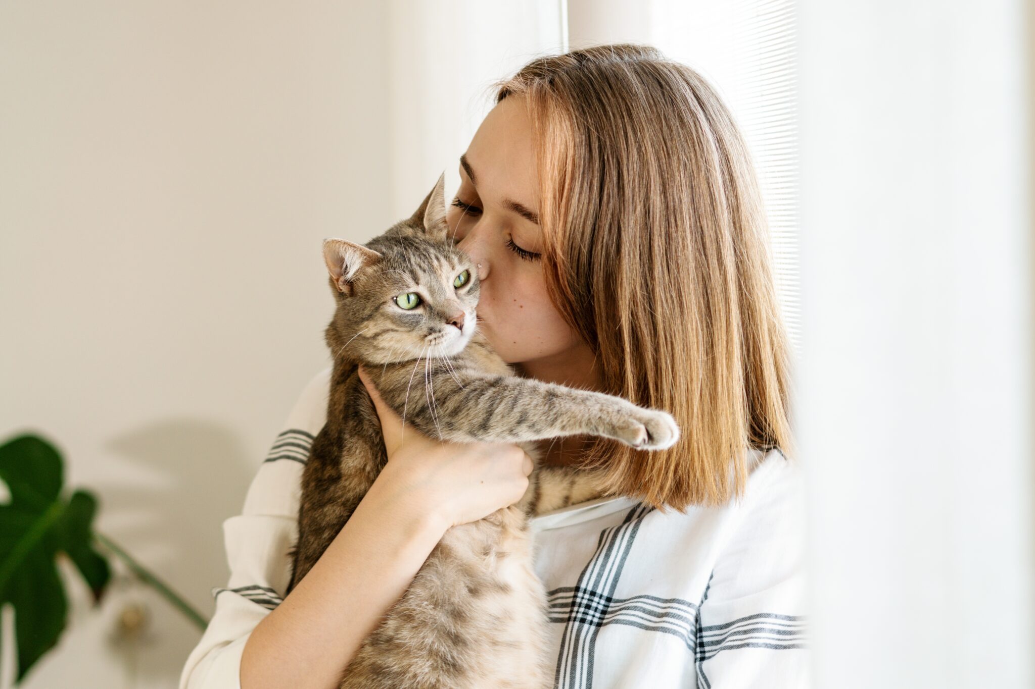 Por que os gatos ronronam? Entenda na PremieRpet®!