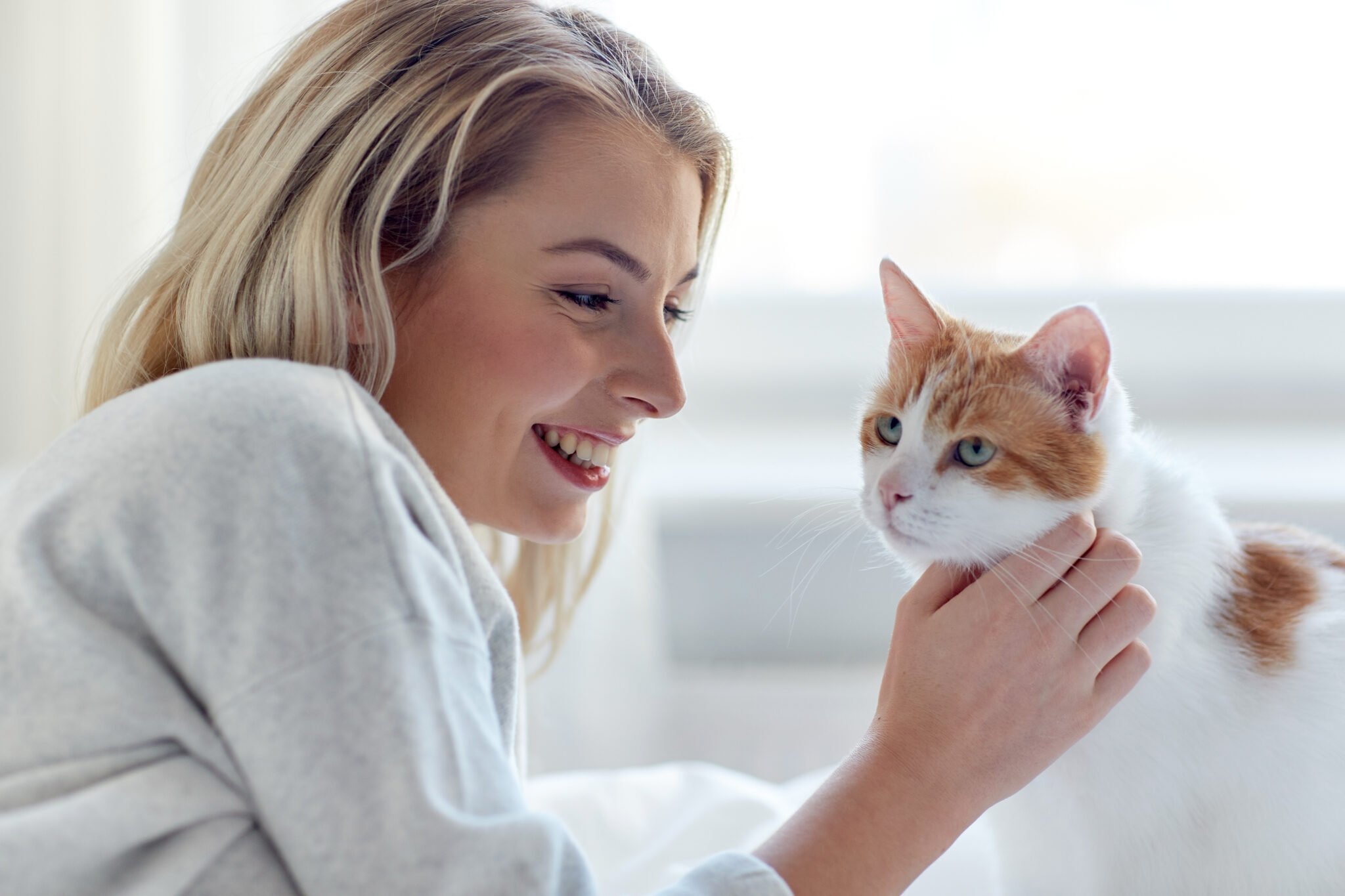 Por que os gatos ronronam? Entenda na PremieRpet®!